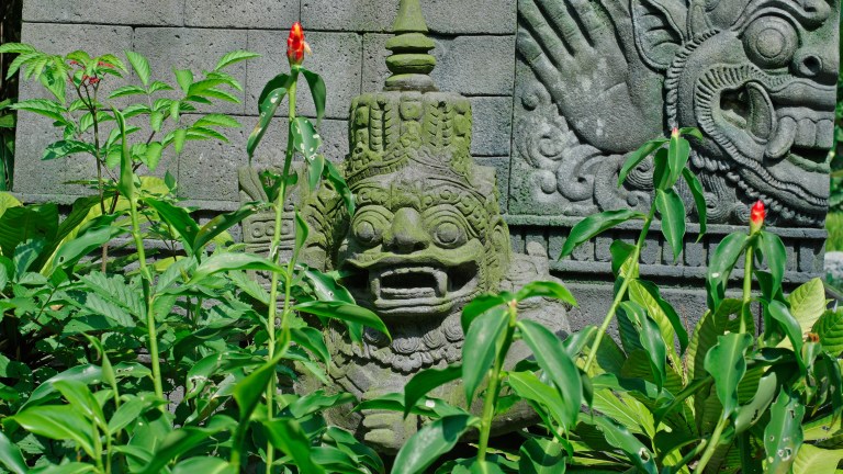 Ultimate Review & Guide to Bird Paradise – Dashing Heights