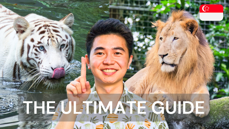 SG NEWEST Rainforest Zoo – ALL You Need to Know – Dashing Heights